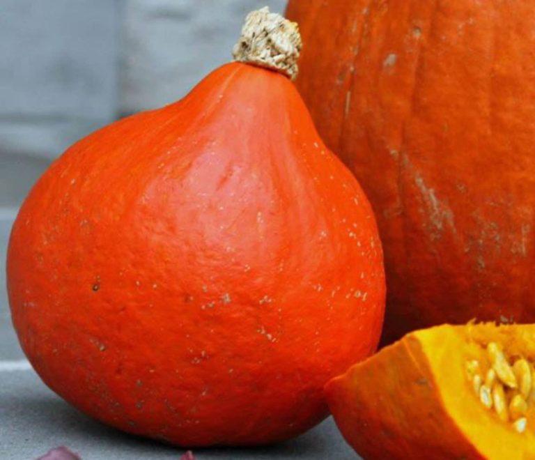 Roasted Red Kuri Squash With Rosemary